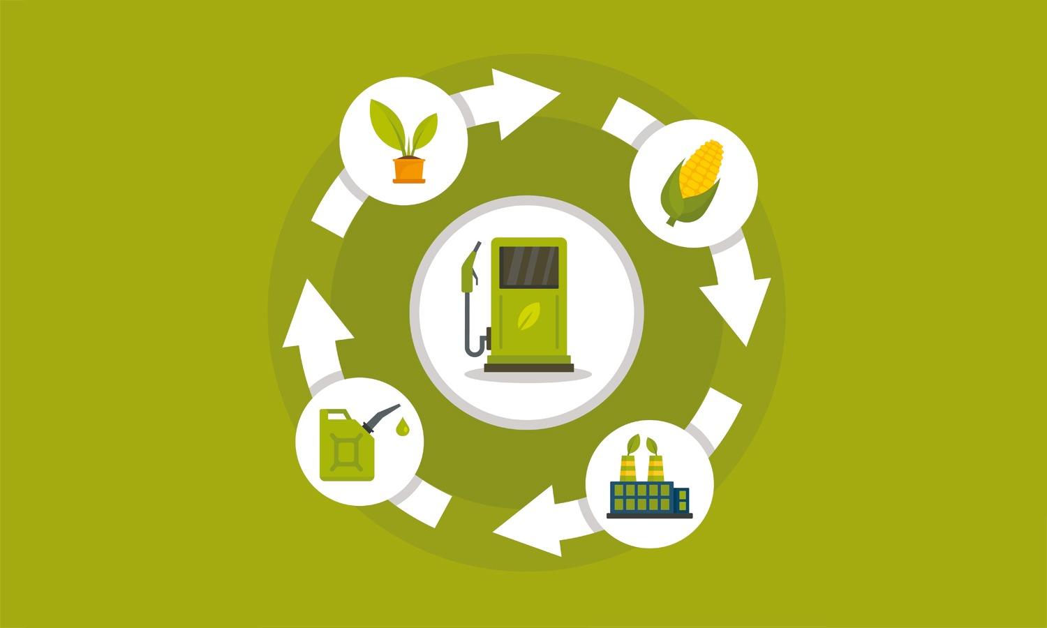 How to recycle waste cooking oil for a greener future? - THE MOST RECYCLE